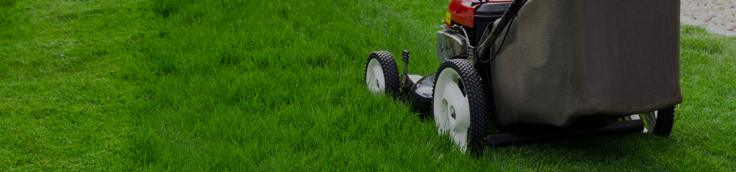 Grass Cutting Services | TTS Garden Services, Perth UK
